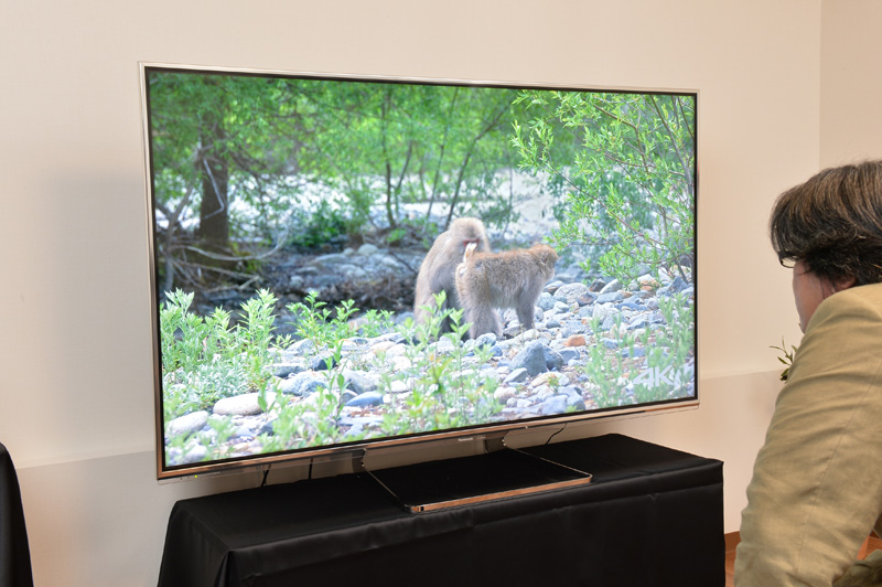 VIERA Station 4K対応スマートビエラはテレビを超えた